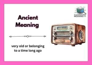 Elated Meaning Explained Ultimate Guide to Feeling Joyful ...